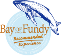 Gîte du passant Falcon Ridge Inn, Baie de Fundy, Alma N-B